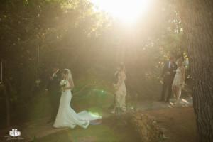 Theresa and Wouter Wedding in Saliarelis Estate Aegina ...