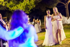 Theresa and Wouter Wedding in Saliarelis Estate Aegina ...