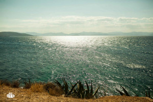 Theresa and Wouter Wedding in Saliarelis Estate Aegina ...